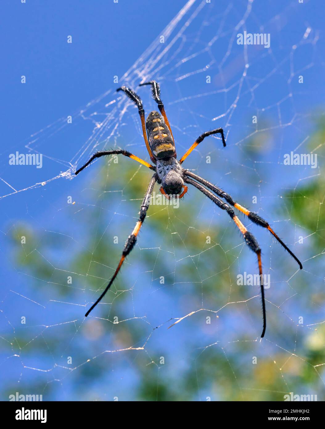 Cabo verde hiking hi-res stock photography and images - Alamy