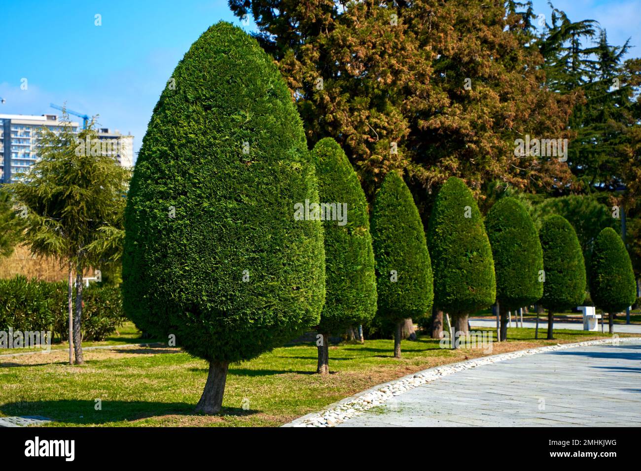 Geometric forms garden hi-res stock photography and images - Alamy