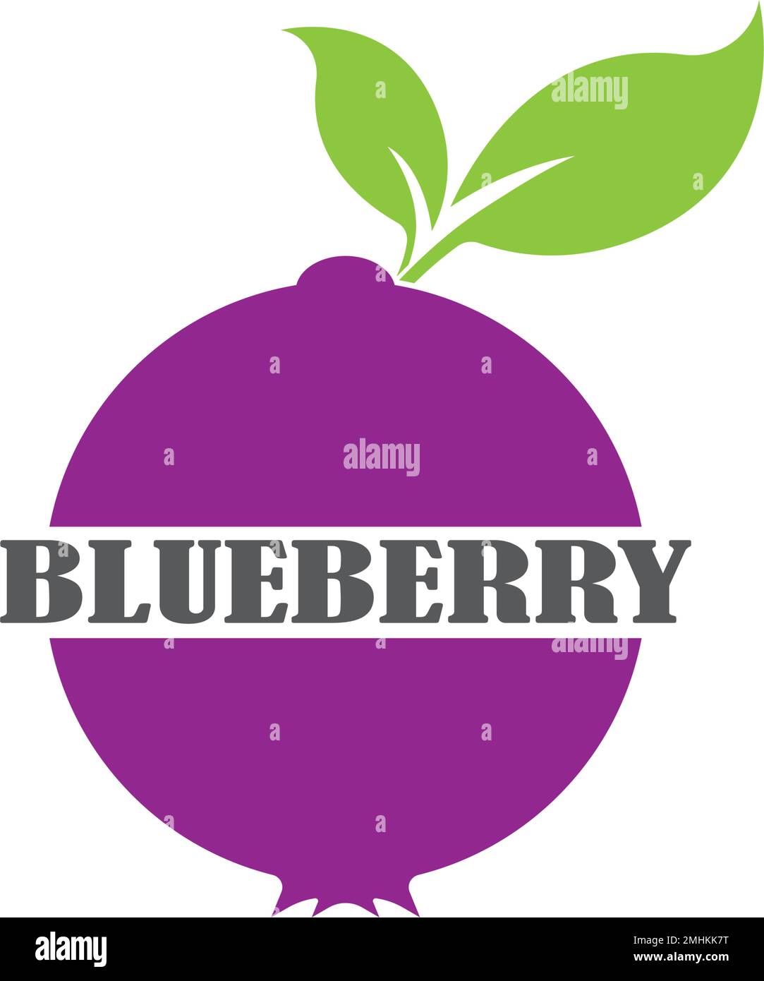 blueberry logo.vector illustration template design Stock Vector Image ...