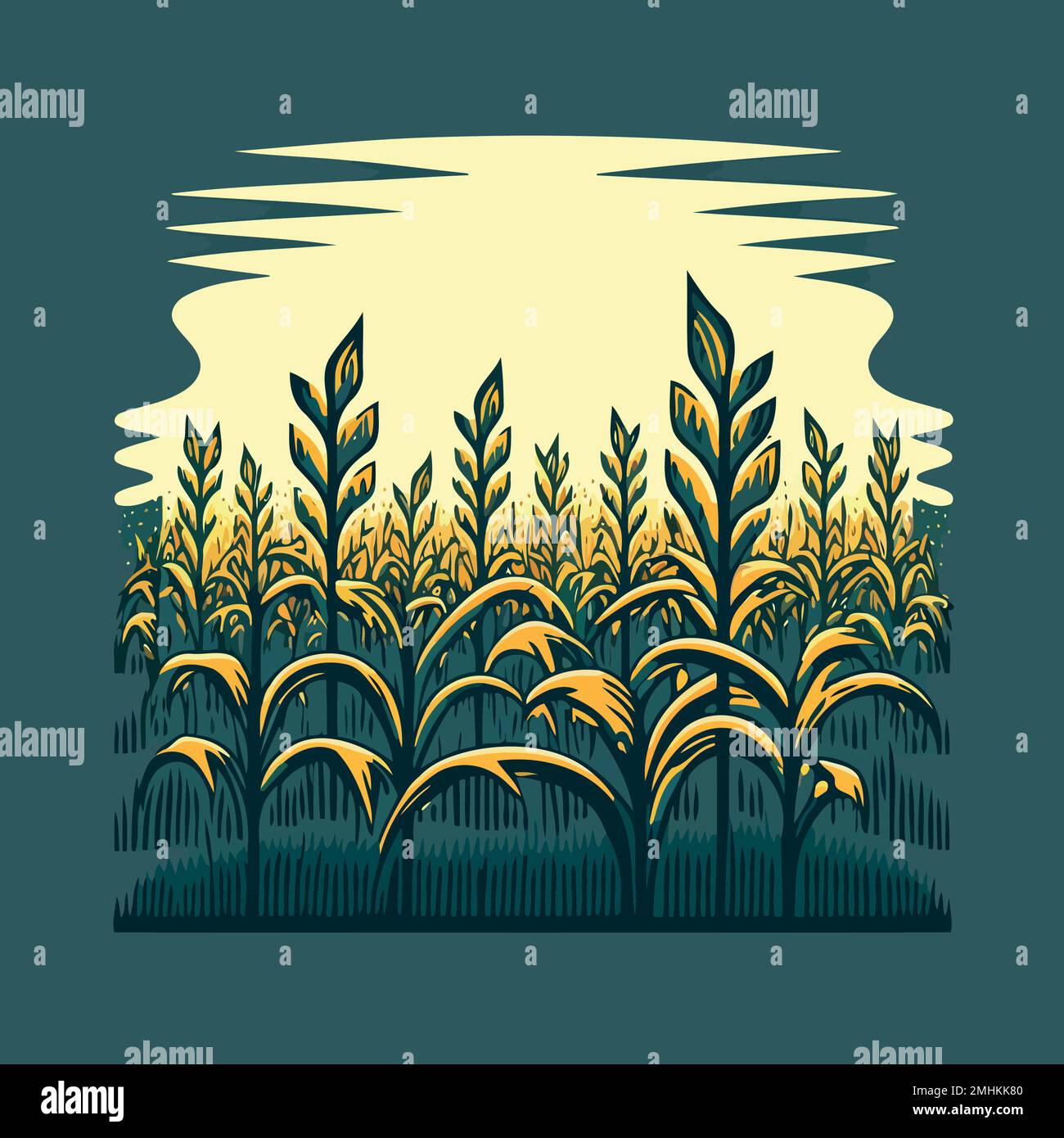 Corn Stalk Illustration