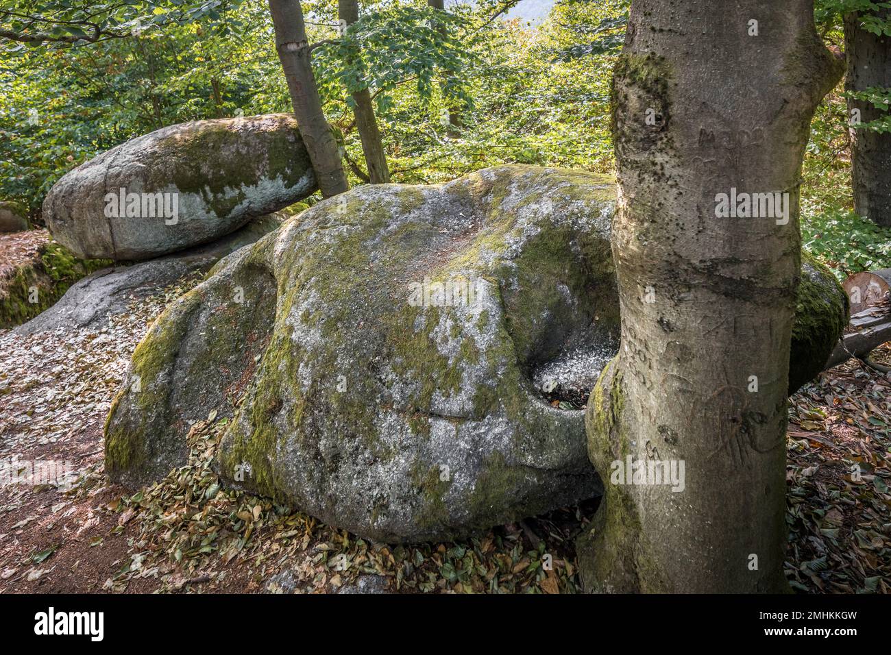 Bowls and bowl stone of a human stone working from the prehistoric ...