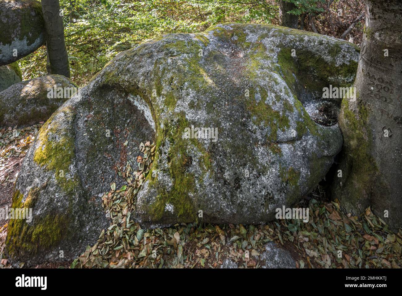 Bowls and bowl stone of a human stone working from the prehistoric ...