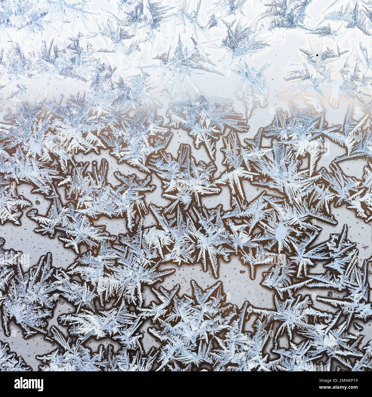 Frozen Window Clipart