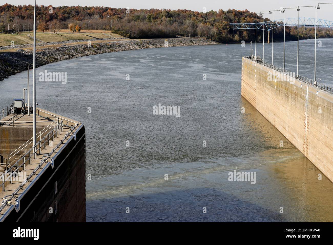 A line of bubbles from a bio-acoustic fish fence rises to the surface ...