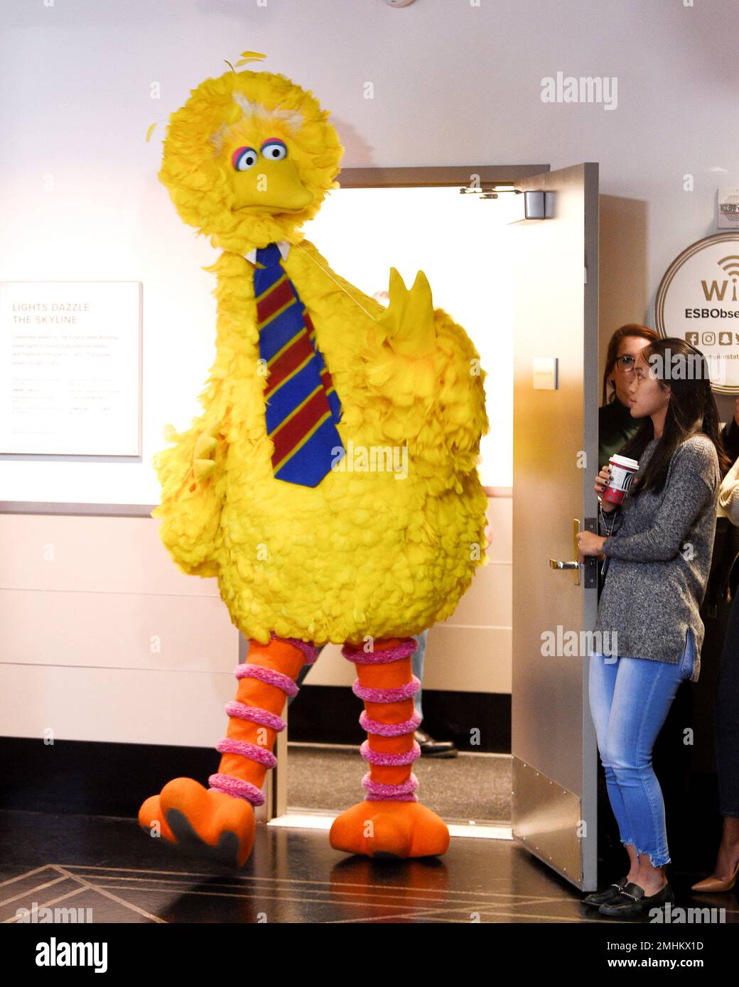 Sesame Street's Big Bird arrives at the ceremonial lighting of the ...