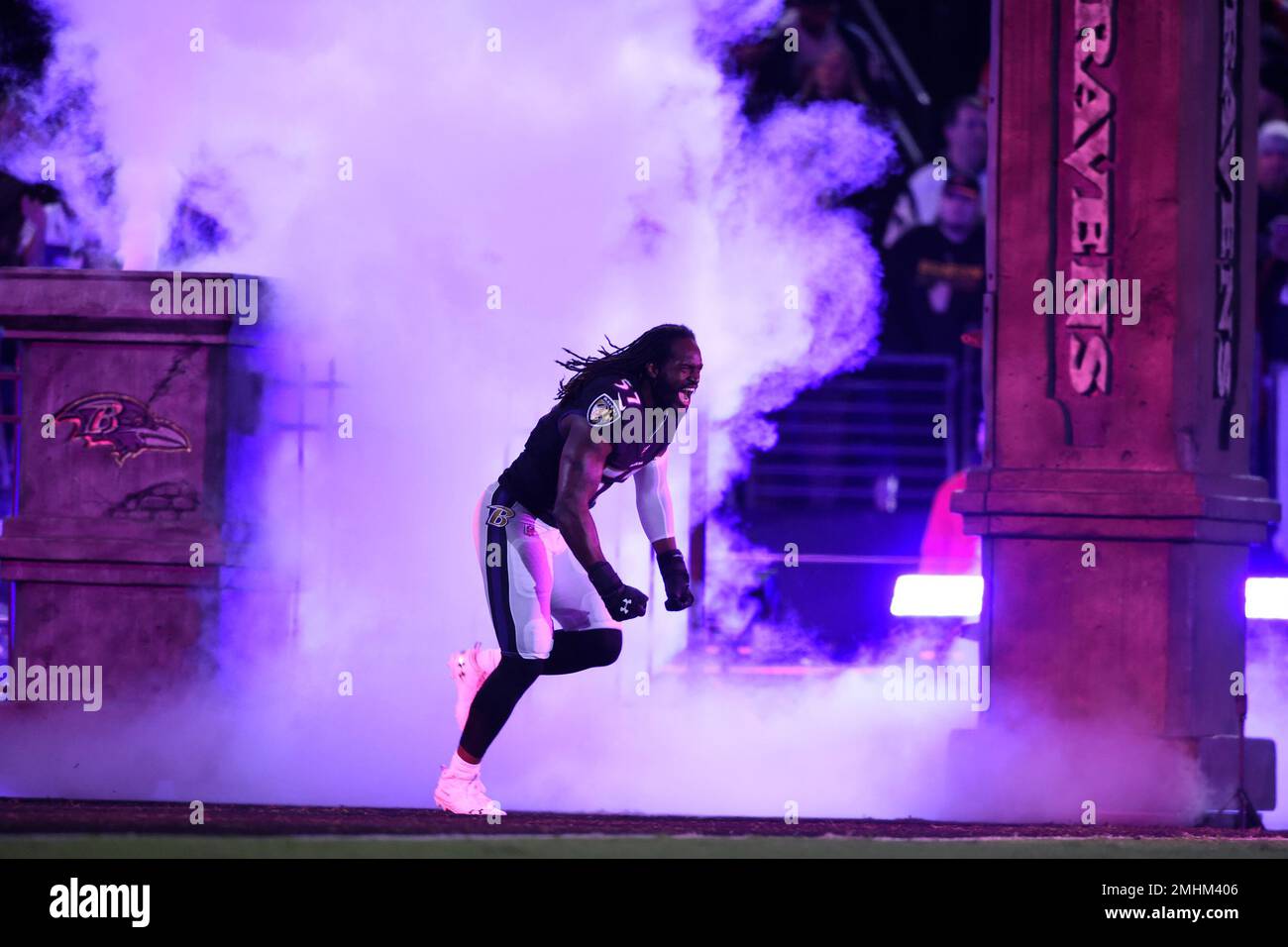 Baltimore Ravens linebacker Josh Bynes takes the field prior to an NFL ...