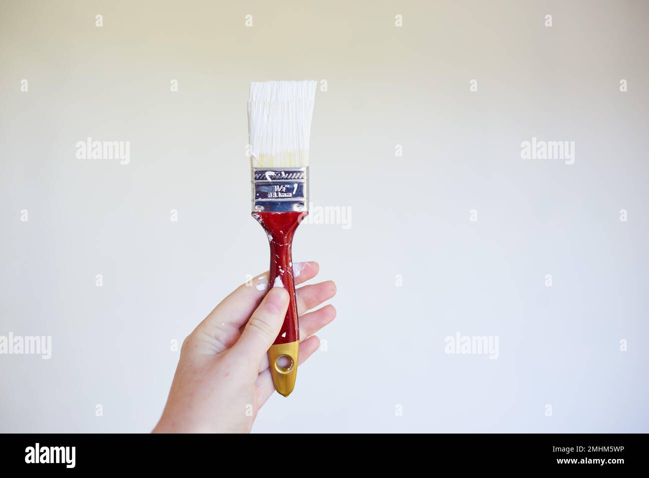 Close up of hand holding paintbrush with white paint against painted ...