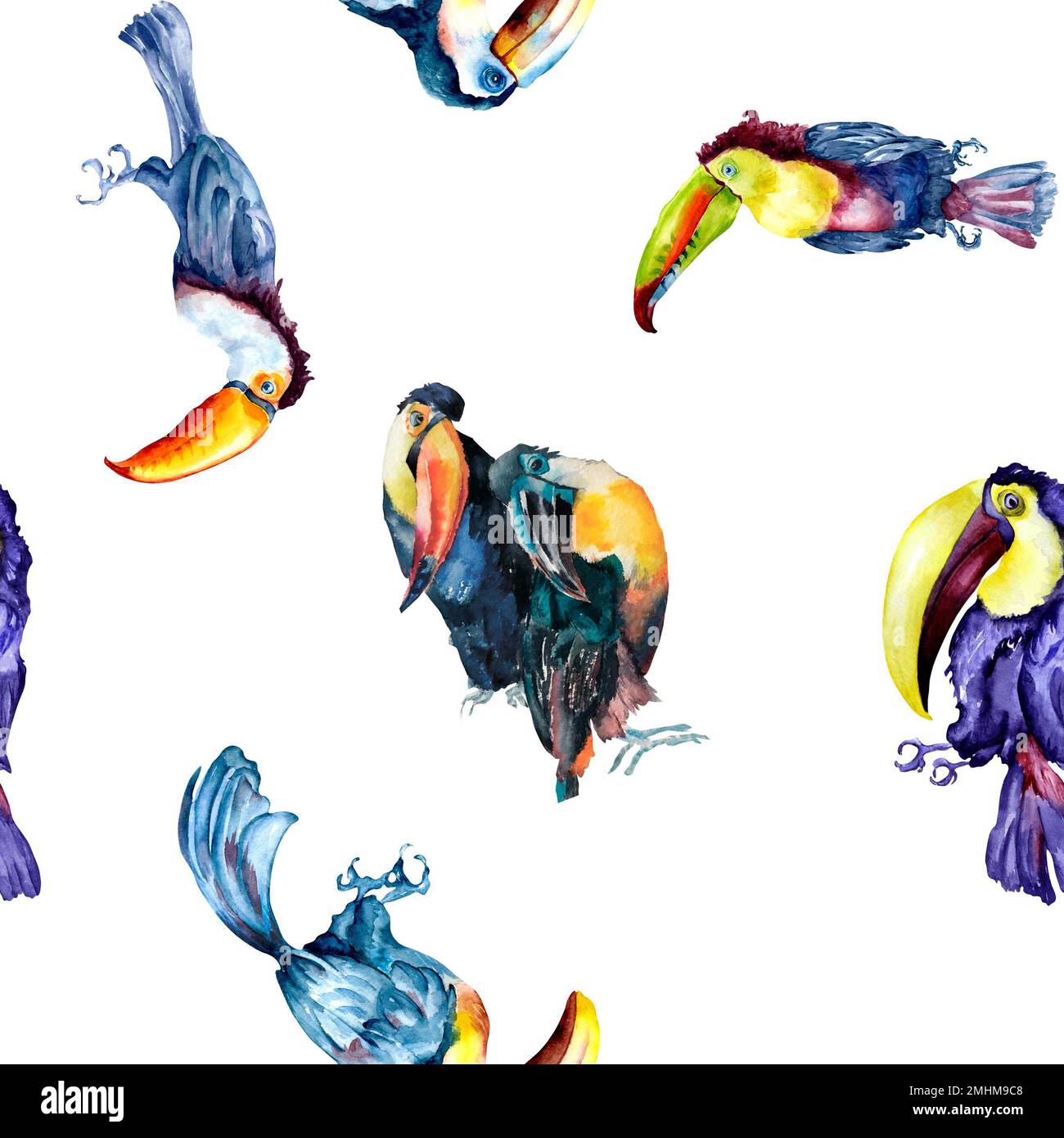 Toucan exotic tropical birds watercolor seamless pattern on white ...