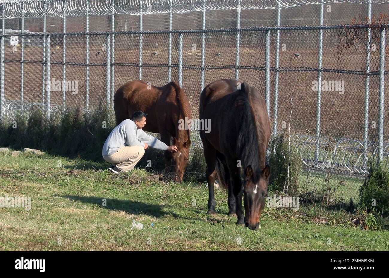 Inmate Daniel Elliot interacts with a horse named Hank on Wednesday ...