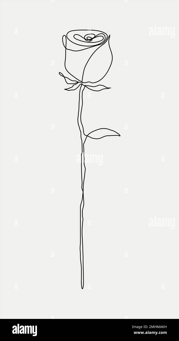 Rose flower line drawing vector Stock Vector Image & Art - Alamy