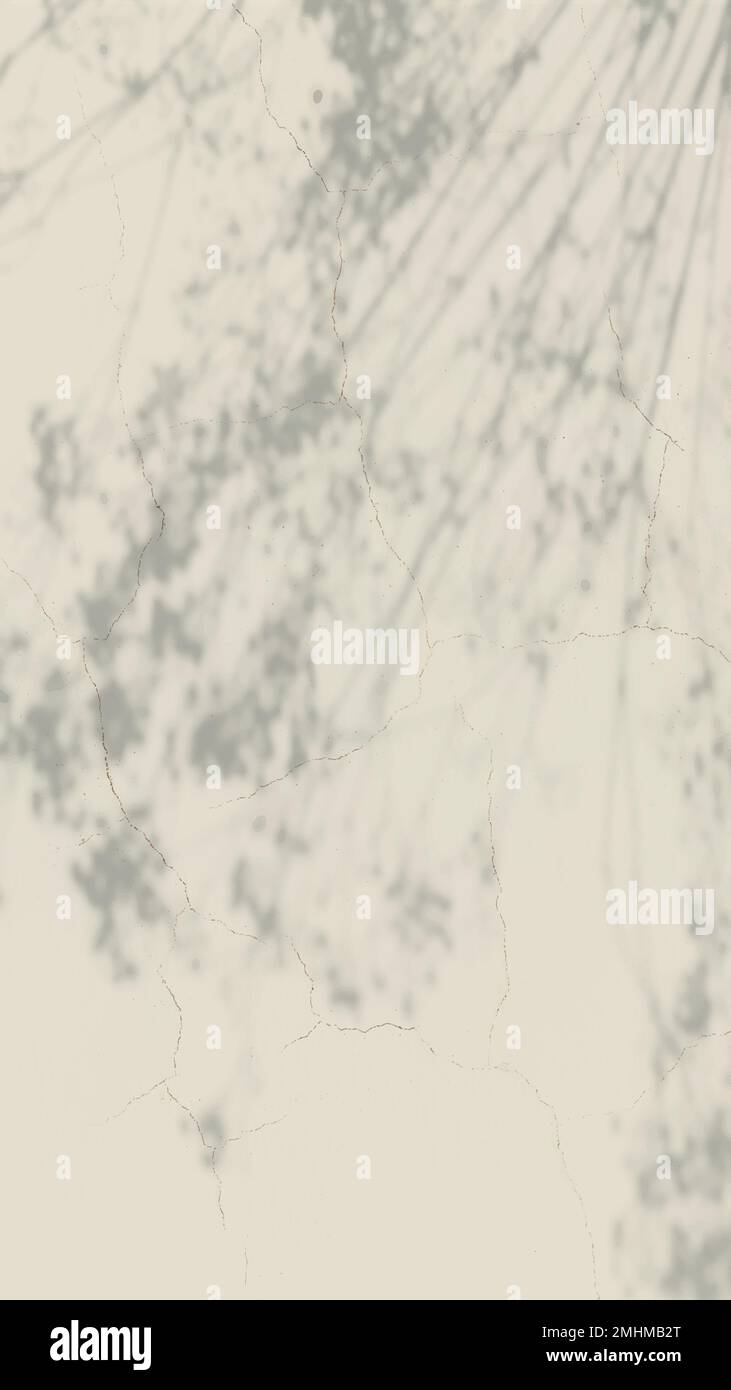 Aesthetic phone wallpaper background vector, leaf shadow with natural ...