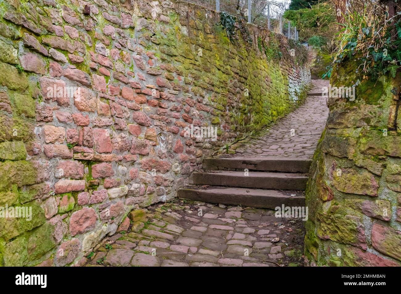 A typical section of the Schlangenweg (Snake Path), a narrow ...