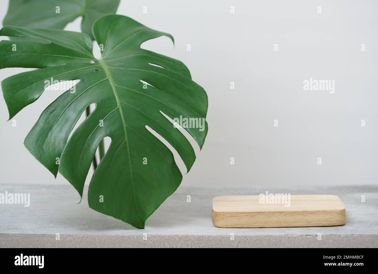 empty wooden podium texture on cement tabletop with monstera leaf white ...