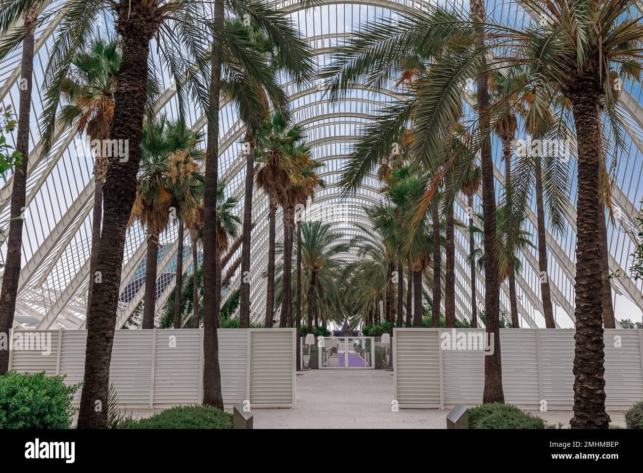 Exterior Structure of the Umbracle Modern Building with its greenery in ...