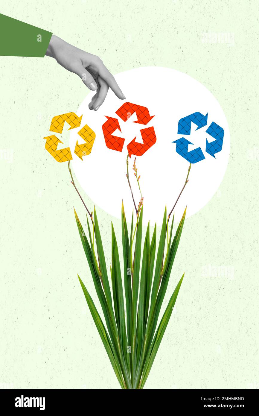 Magazine advert collage of painting recycle mark above green grass ...