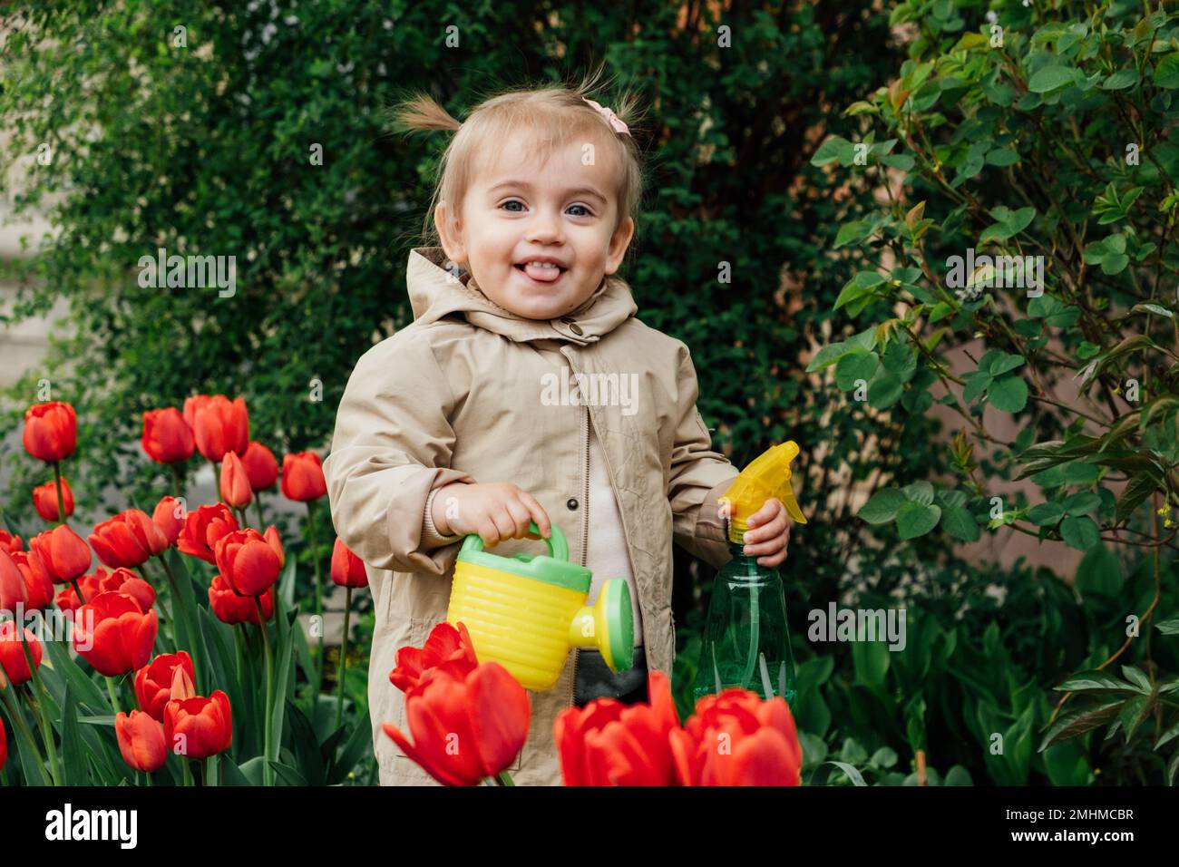 Spring Gardening. Cute toddler little girl in raincoat watering red ...