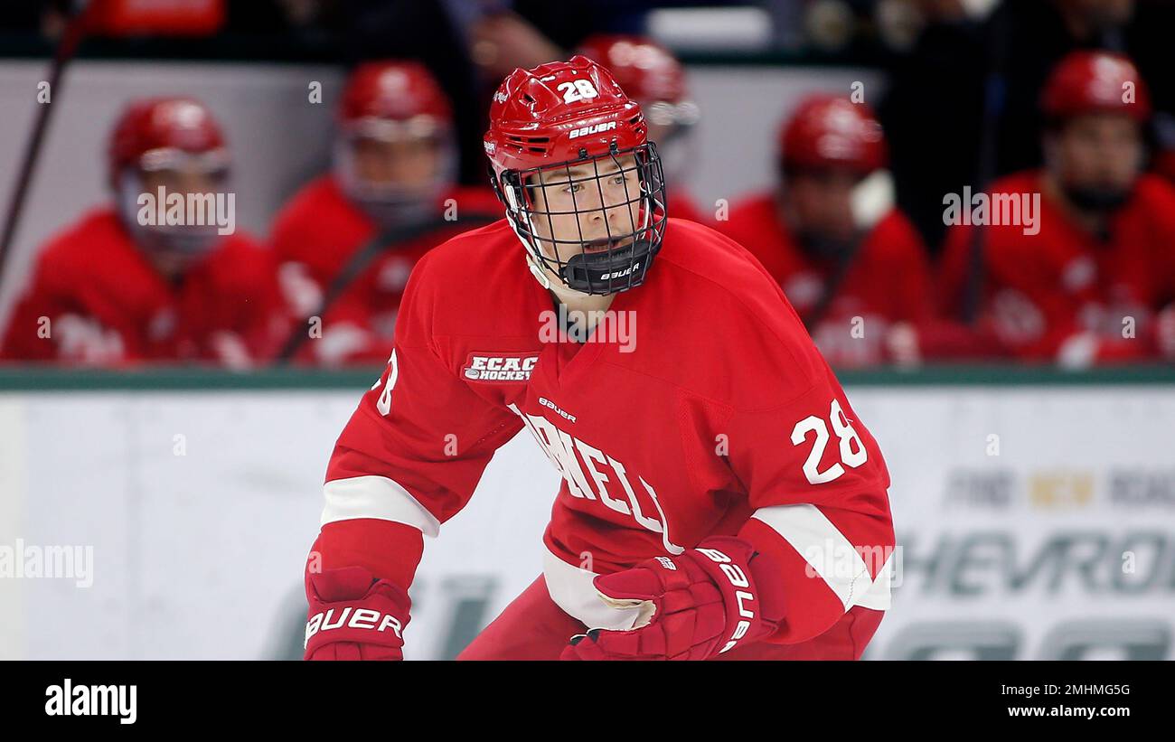 Cornell's Brenden Locke is shown during an NCAA hockey game on Friday ...