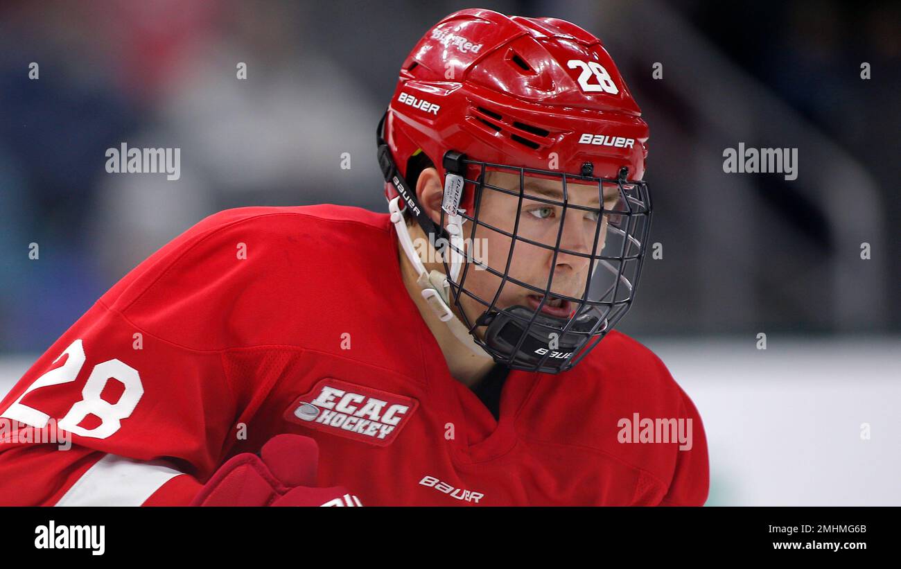 Cornell's Brenden Locke is shown during an NCAA hockey game on Friday ...