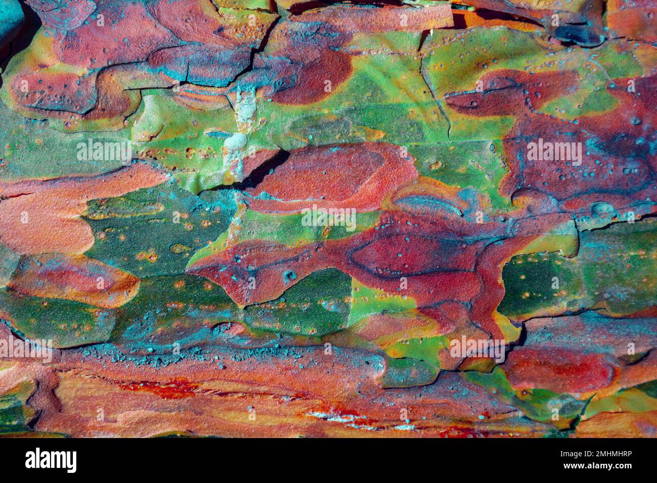 Pine bark background abstract nature background Stock Photo - Alamy