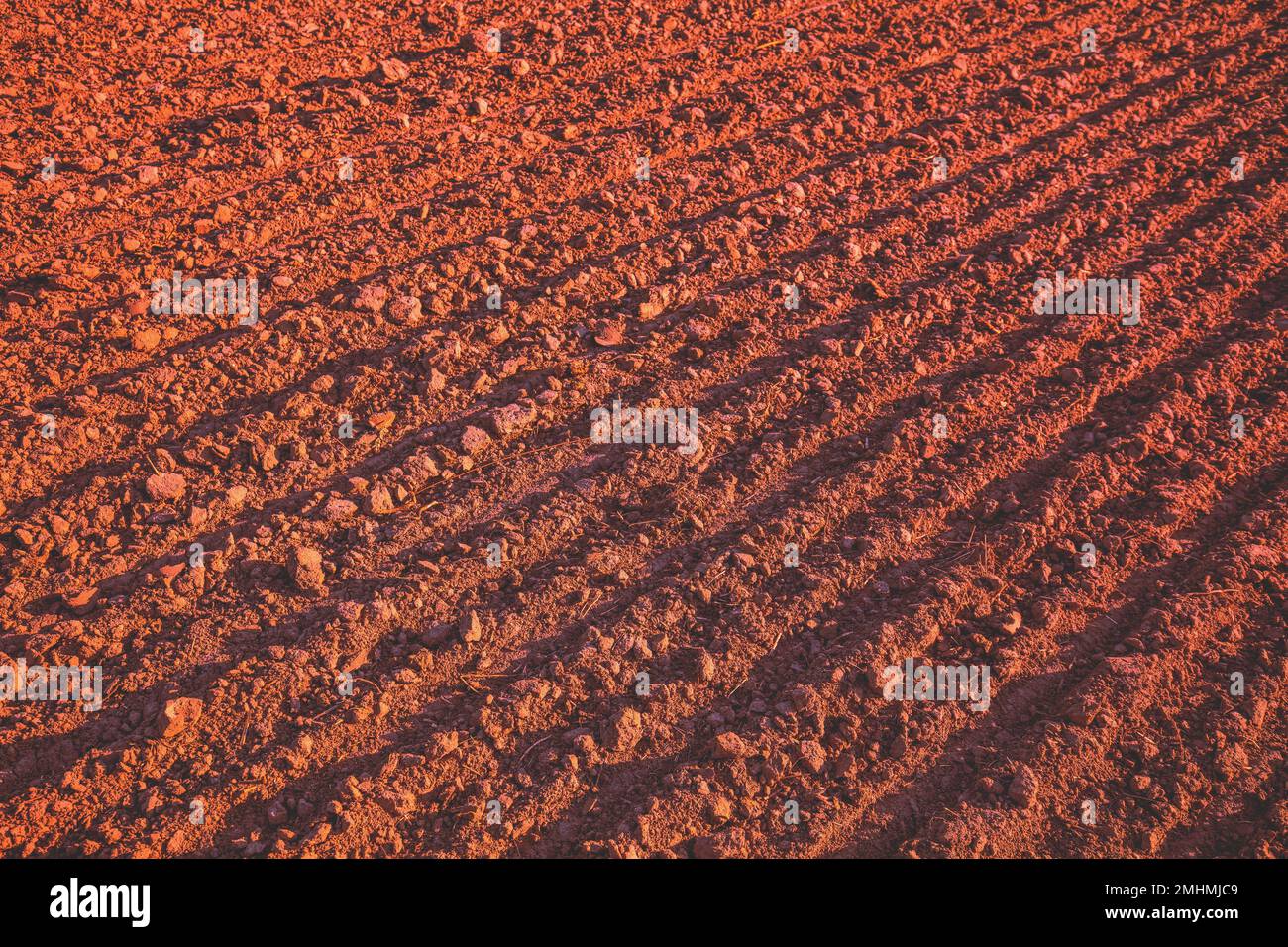 Field texture hi-res stock photography and images - Alamy