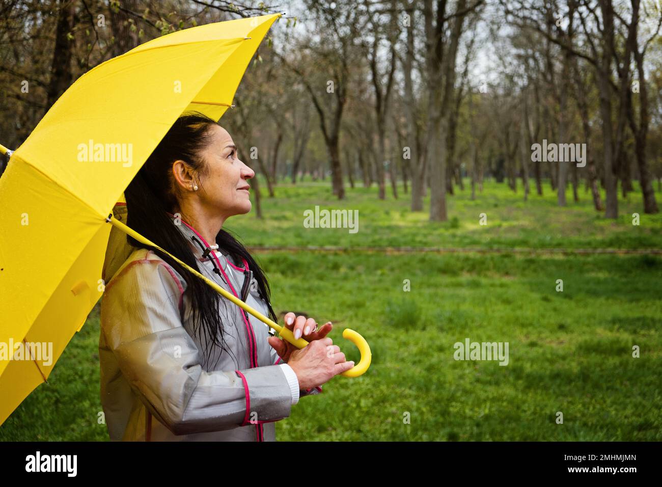 Stress Resilience And Mental Health Concept Managing Stress And