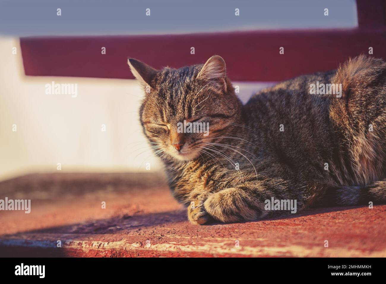 Yard bench hi-res stock photography and images - Alamy