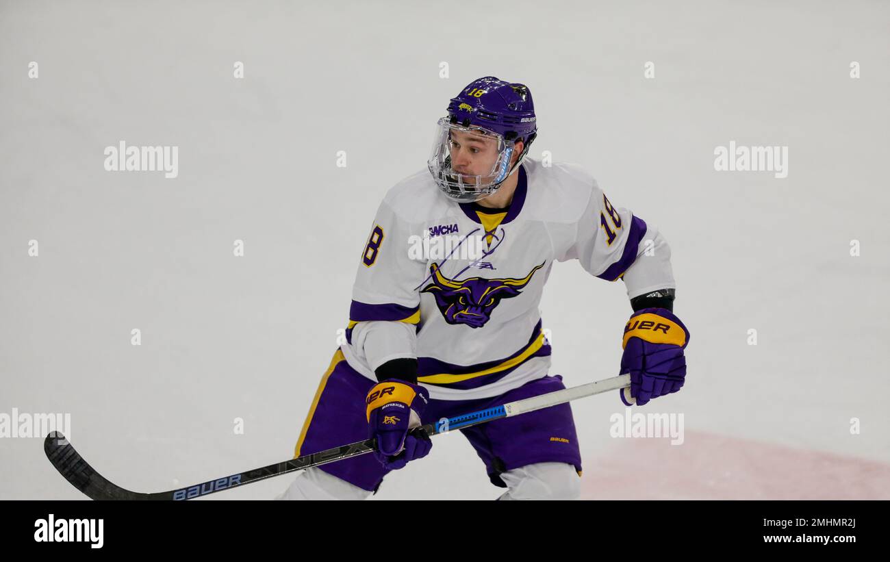 Minnesota State defenseman Ian Scheid skates against Bowling Green ...