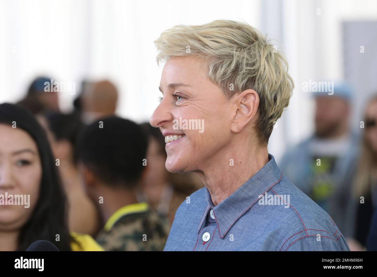 Ellen DeGeneres attends the premiere of Netflix's "Green Eggs and Ham ...