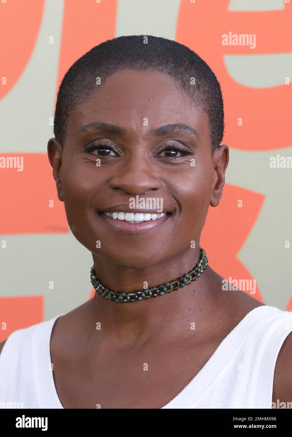 Adina Porter attends the premiere of Netflix's "Green Eggs and Ham" at ...