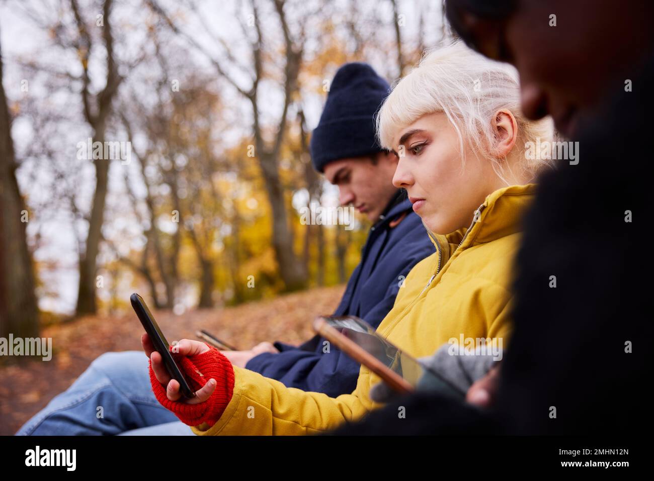 Three friends in park using smartphones Stock Photo - Alamy