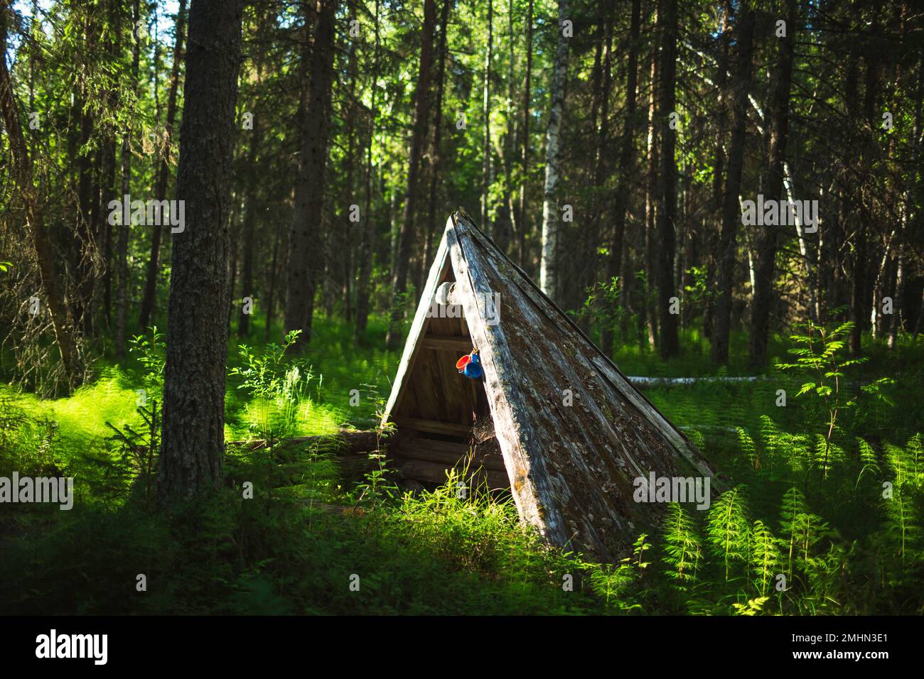 Wooden hut in forest Stock Photo - Alamy