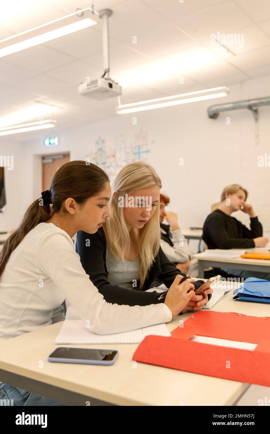 Teenage girls using phone in classroom Stock Photo - Alamy