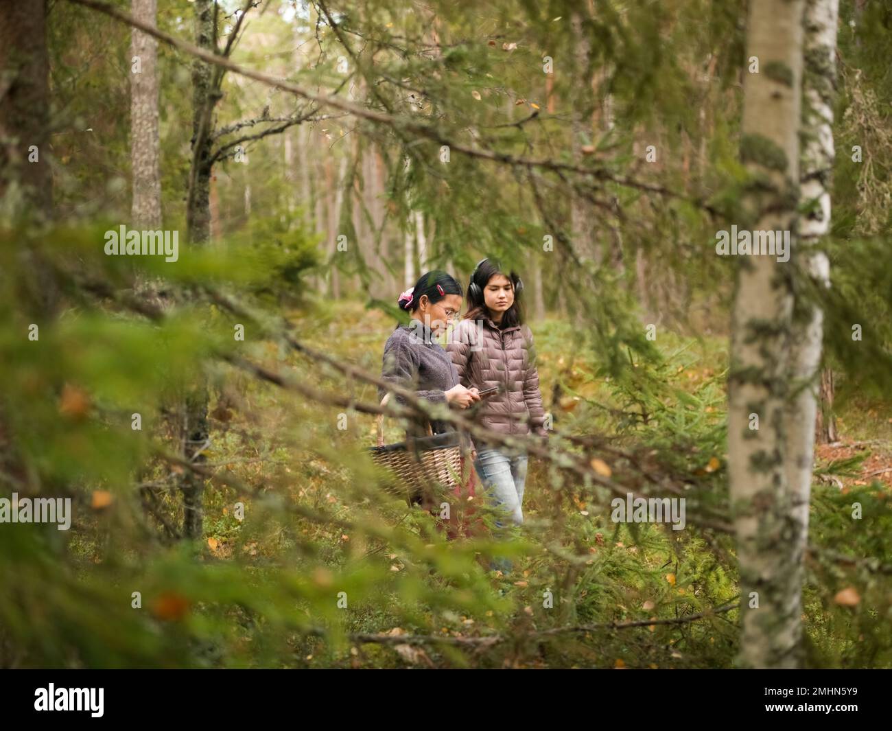 Mother and daughter walking in forest Stock Photo - Alamy