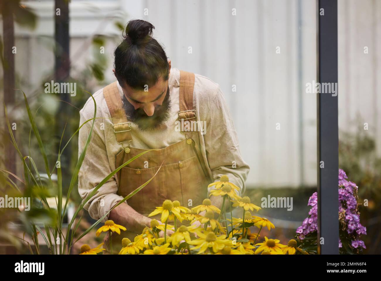 Dark greenhouse hi-res stock photography and images - Alamy