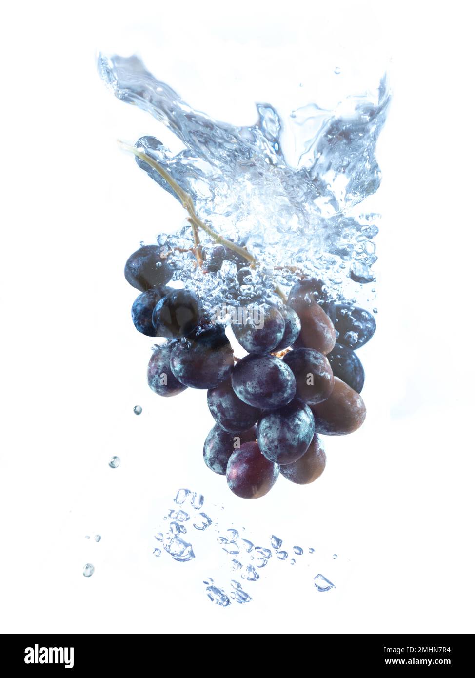 Blue grape with water splash isolated on white Stock Photo - Alamy