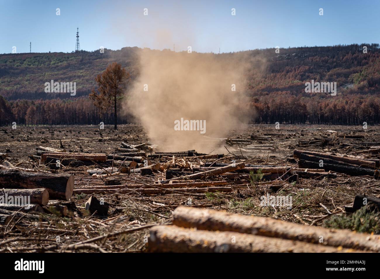 Tornado forest hi-res stock photography and images - Alamy