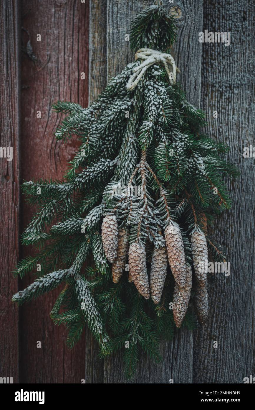 Bunch of spruce branches hanging on door Stock Photo - Alamy