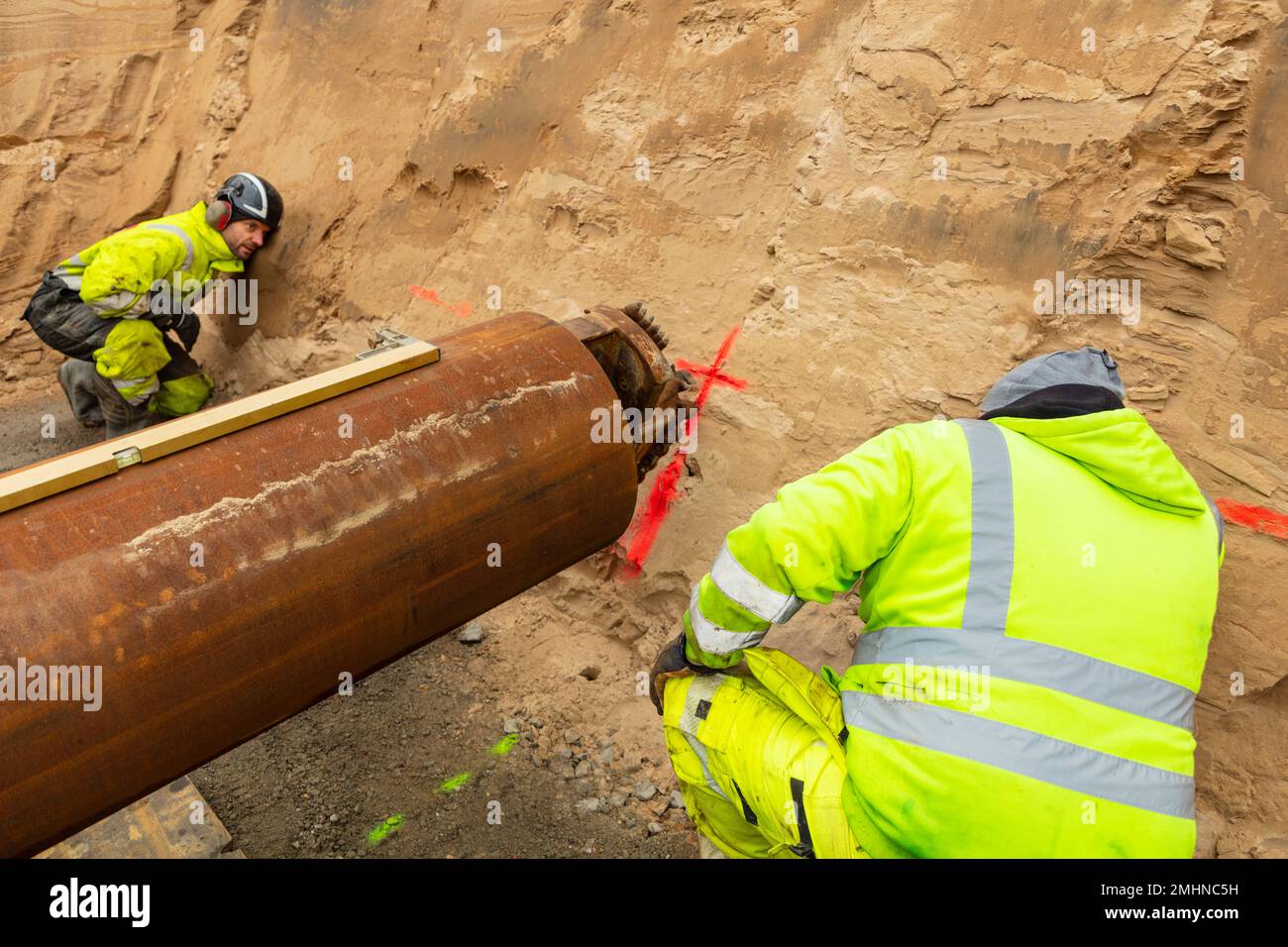 Professional evolution hi-res stock photography and images - Alamy