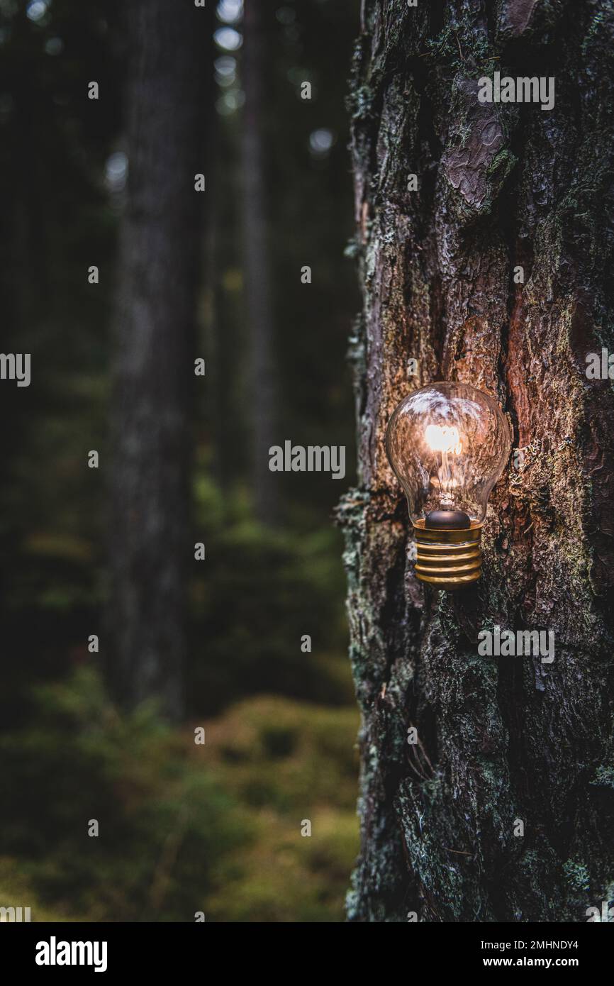 Environmental issues pollution nature tree hi-res stock photography and ...