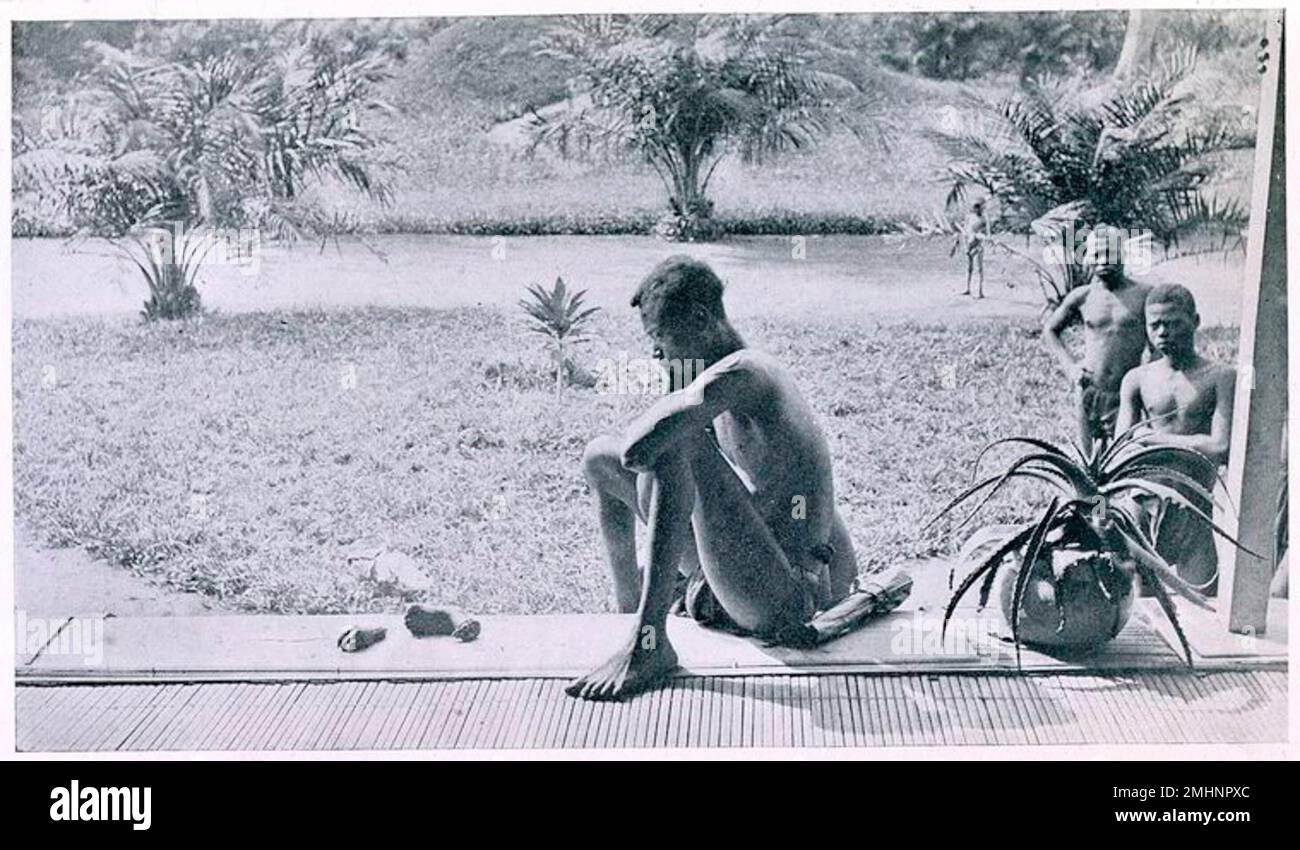 Alice seeley harris hi-res stock photography and images - Alamy