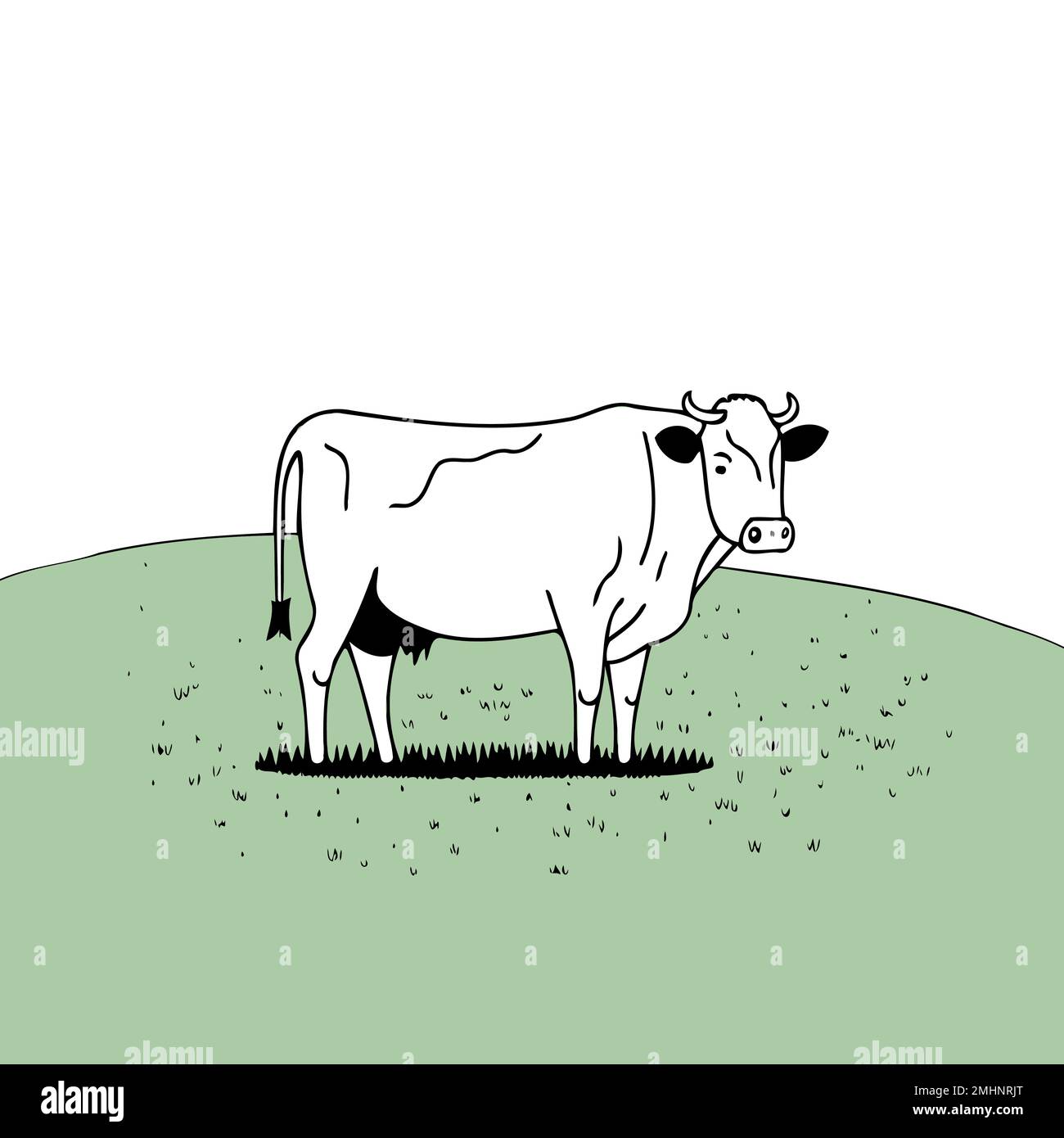 Farm animal vector drawing an adult big cow Stock Vector Image & Art ...
