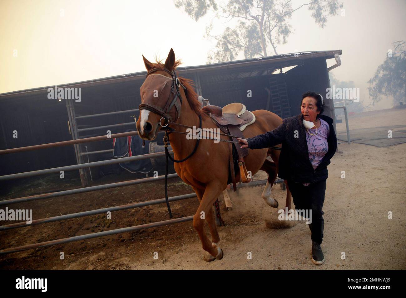 Cheryl Kanan evacuates with her horse Aries as the Easy fire approaches ...
