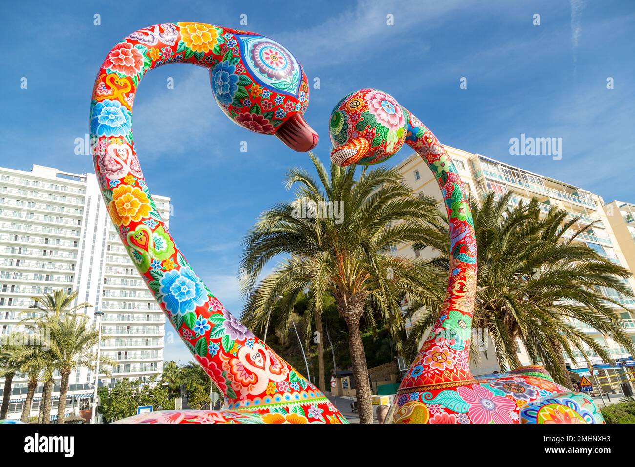 Two amorous swans hi-res stock photography and images - Alamy
