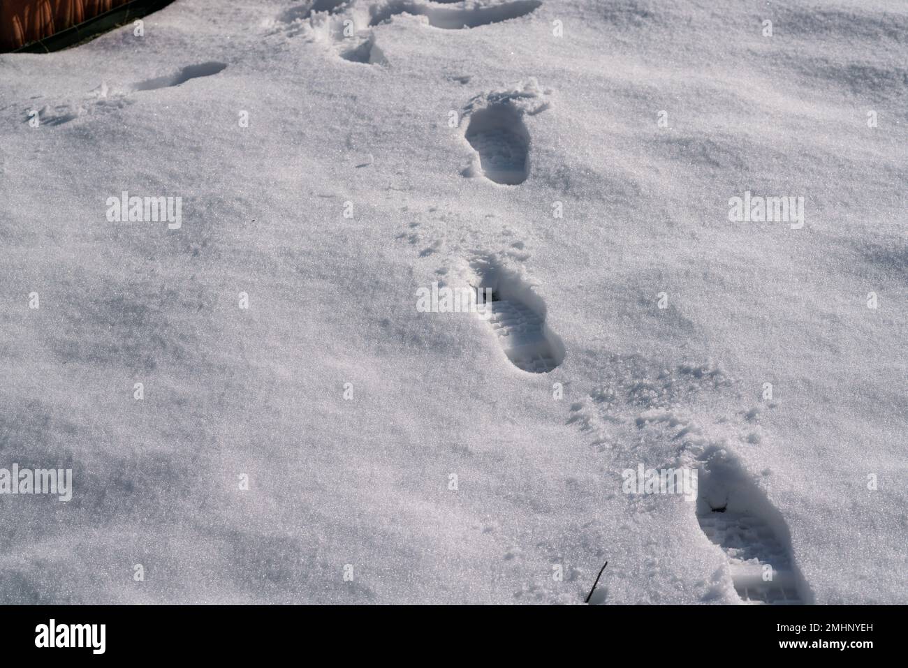 White background silhouette exploration hi-res stock photography and ...