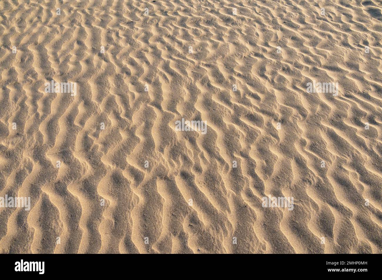 Grooves in the sand draw a pattern Stock Photo - Alamy