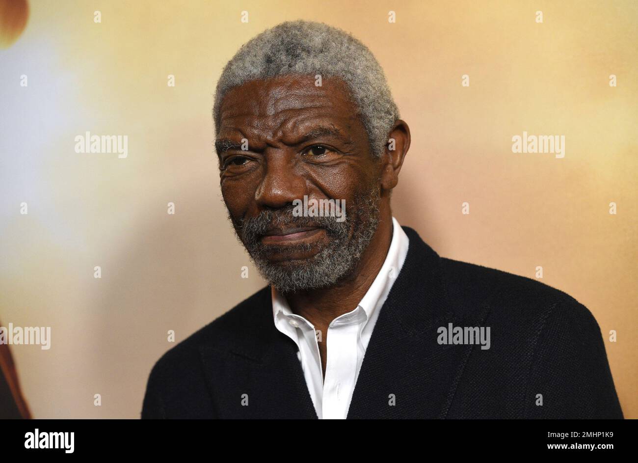 Vondie Curtis-Hall arrives at the Los Angeles premiere of "Harriet" at ...