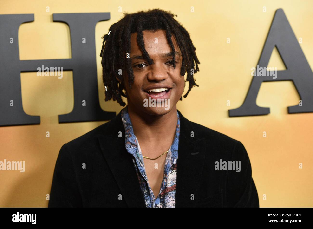 Henry Hunter Hall arrives at the Los Angeles premiere of "Harriet" at ...