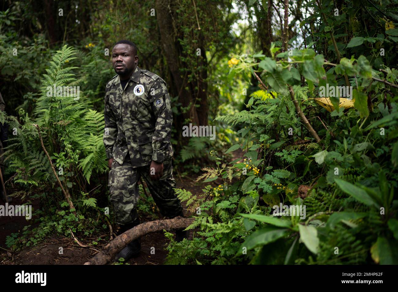 In this Sept. 2, 2019 photo, biologist Jean Paul Hirwa walks down a ...