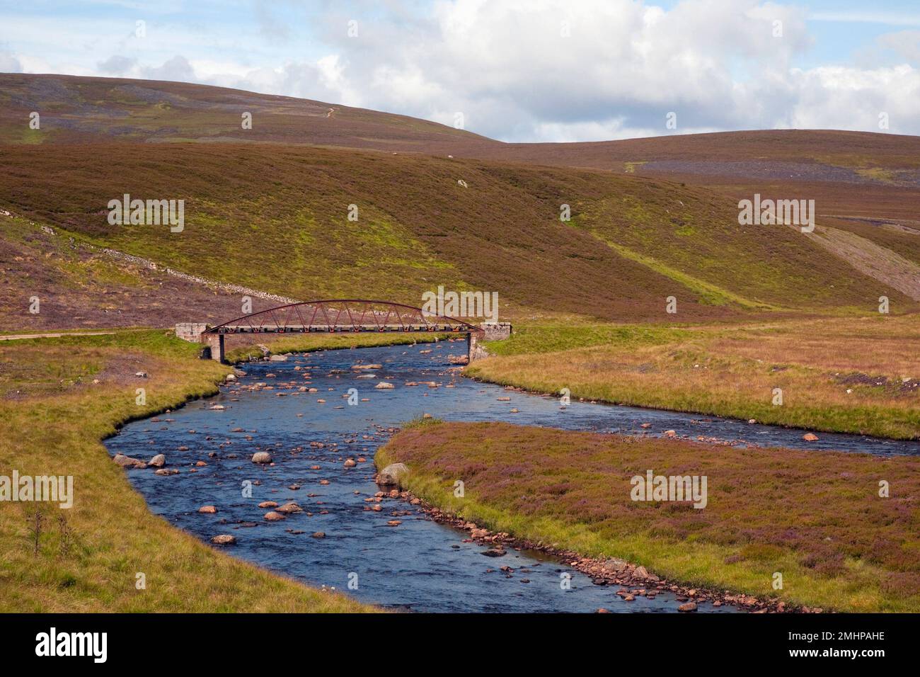 Heather scenes of Scotland - Scottish heather landscape and blue sky on ...