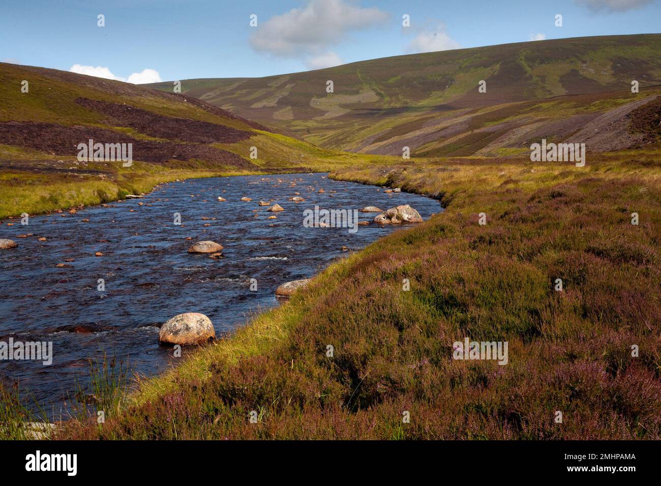 Heather scenes of Scotland - Scottish heather landscape and blue sky on ...